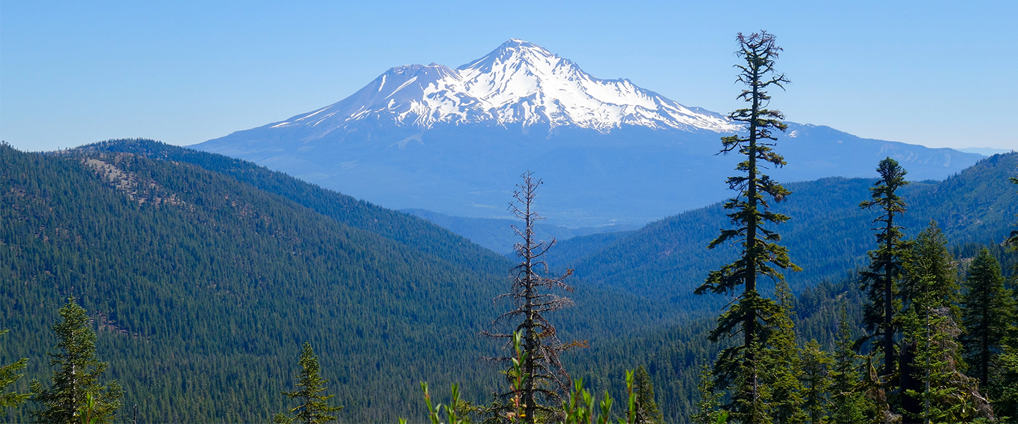 Scope 3 Focused Decarbonization Roadmap Toward Net Zero Brochure | Sphera