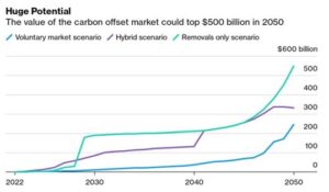 Carbon Offsets Explained: What Companies Need to Know | Sphera