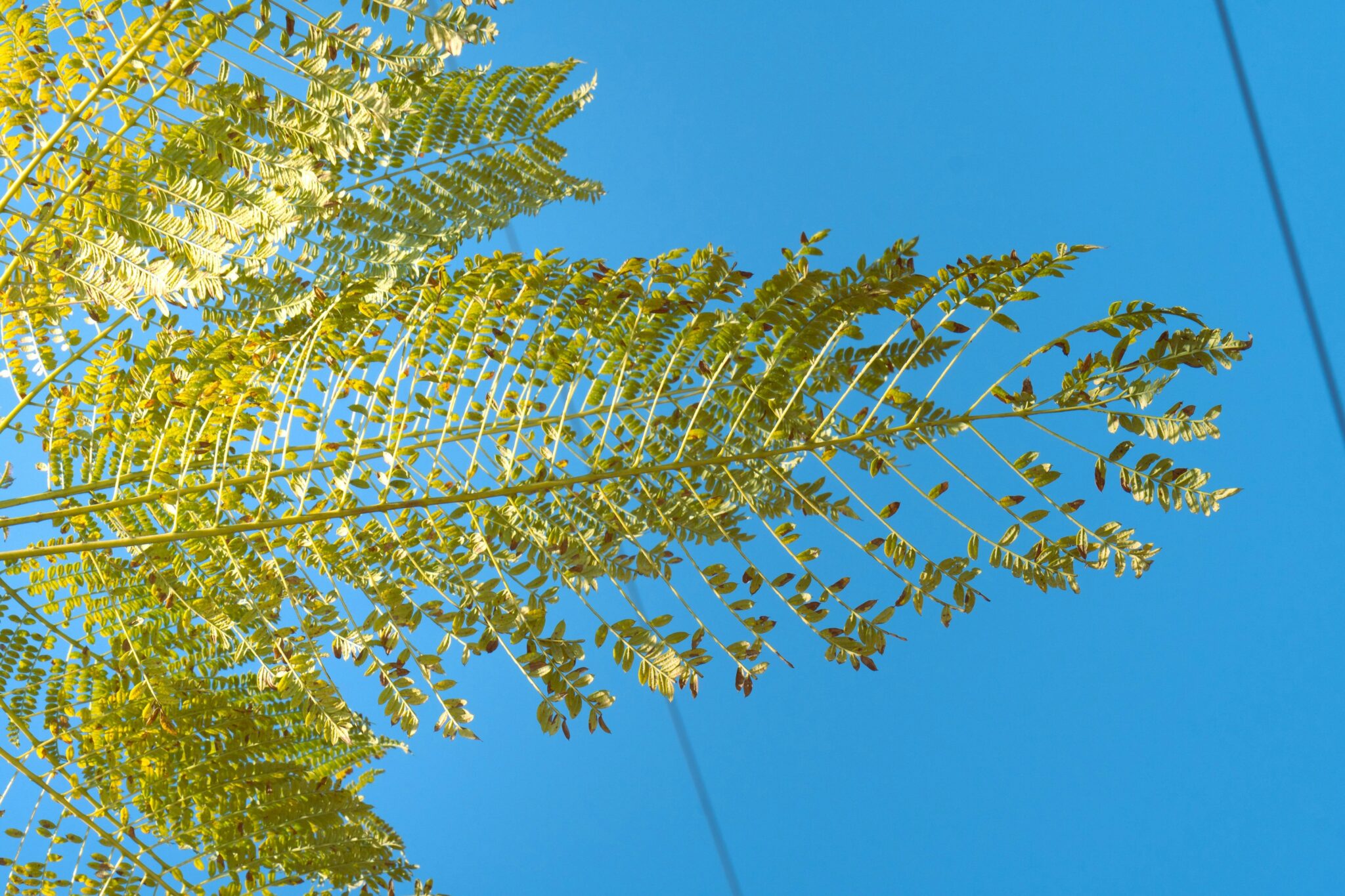 ESG Data Reporting Software & Solutions | Sphera