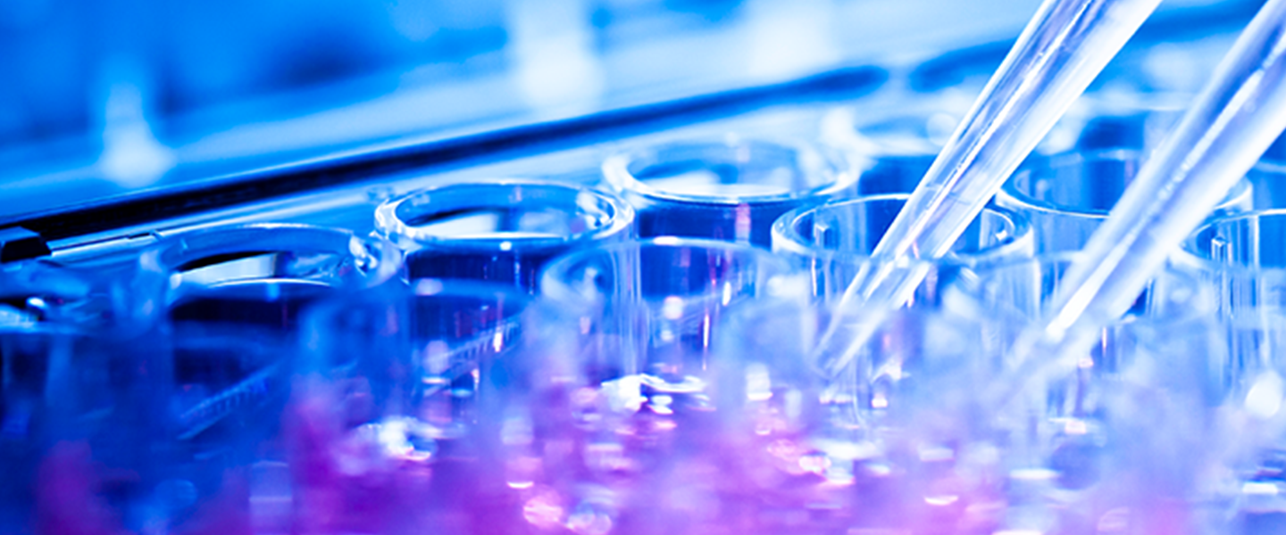 Product Steward | Sphera