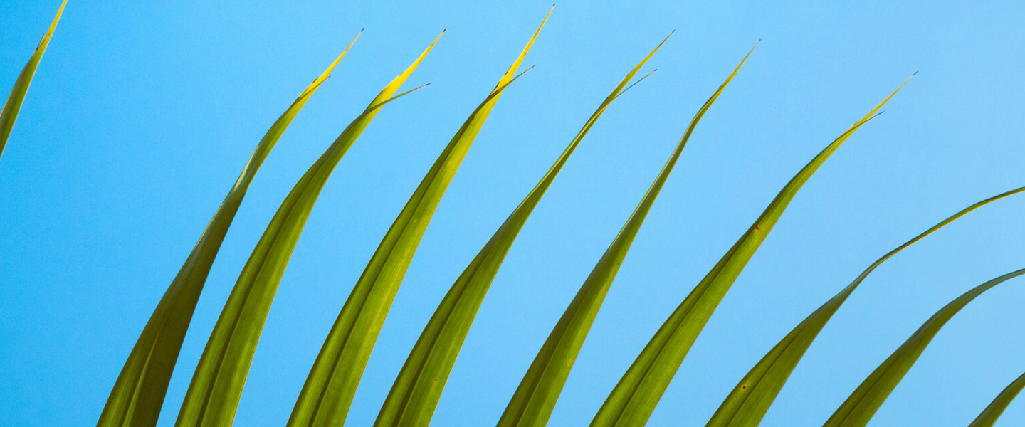 ESG Data Reporting Software & Solutions | Sphera