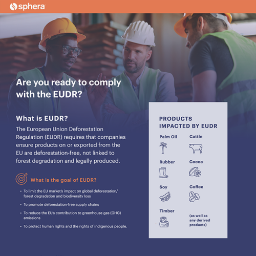Infographic: Are you ready to comply with the EUDR?