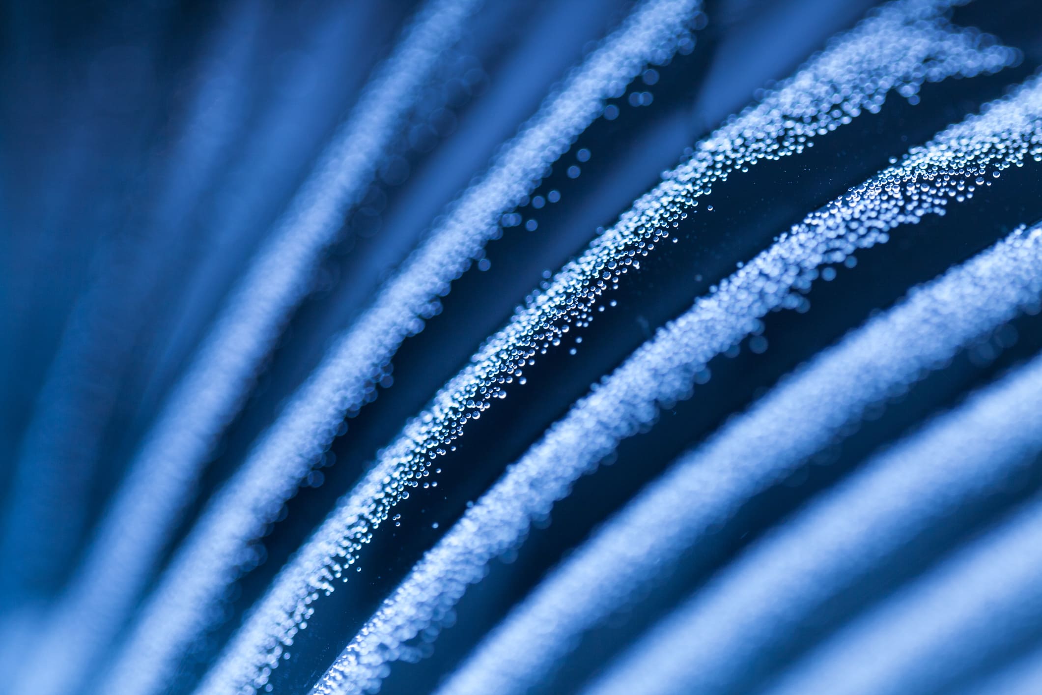 BOMcheck Professional | Sphera